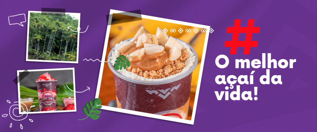 Arquivos açaí • Tribbu Fit Food